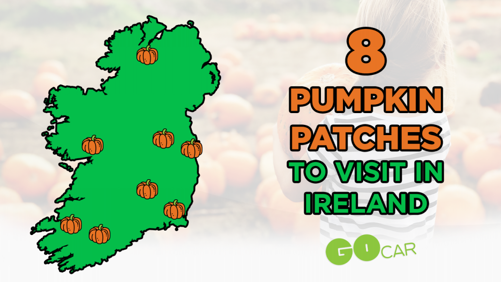 8 Pumpkin Patches in Ireland - GoCar